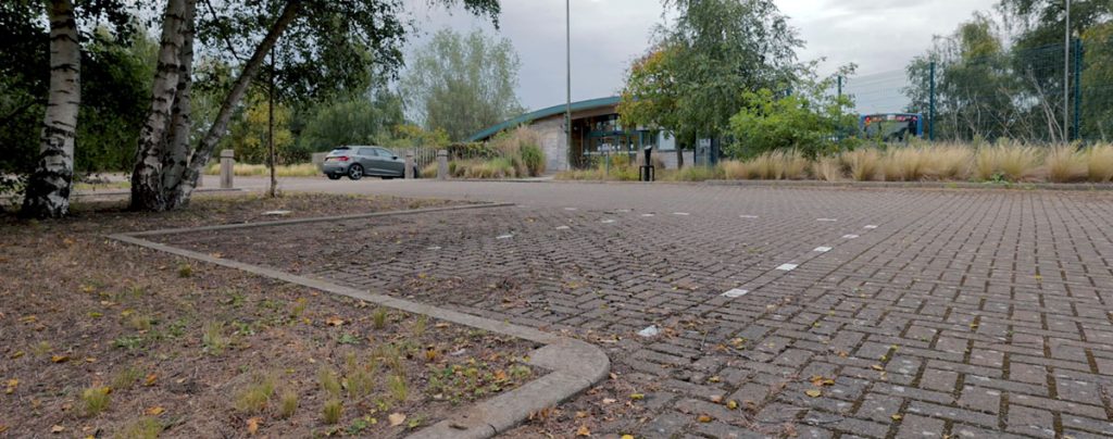 Permeable Paving for Trees - Interpave