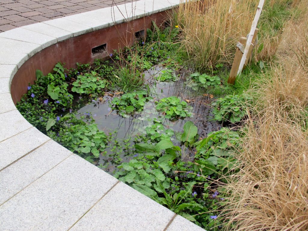 Permeable Paving Helps Meet New Planning Requirements for Trees – Interpave